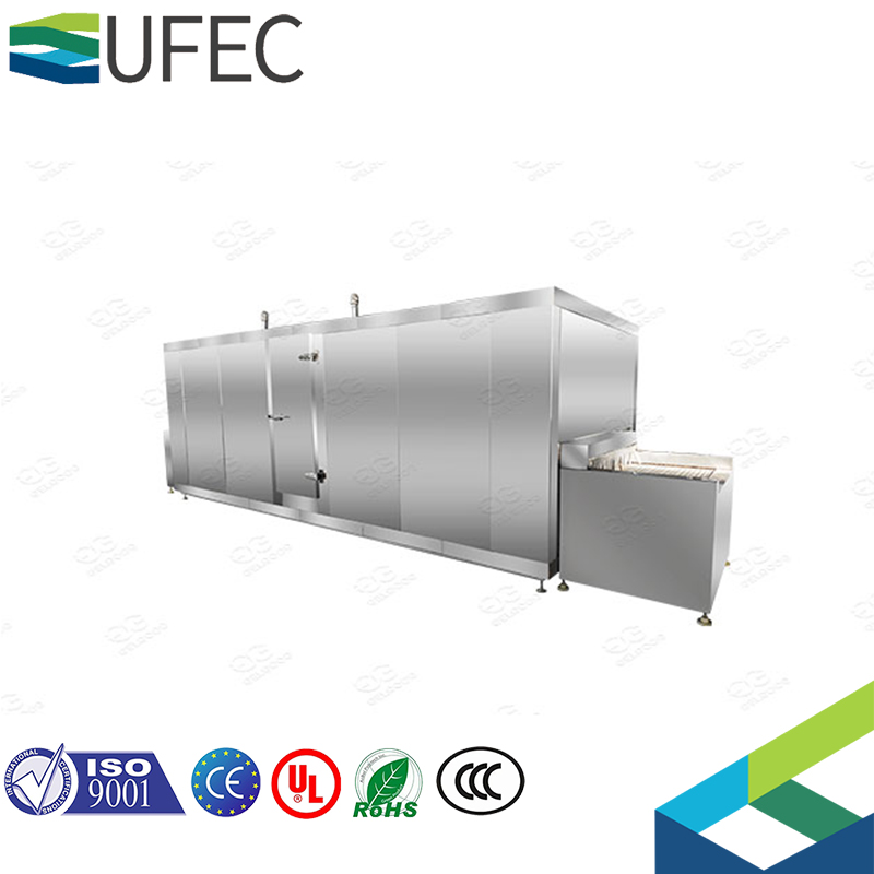 100kgs per hour capacity industrial fruits and vegetables quick freeze ...